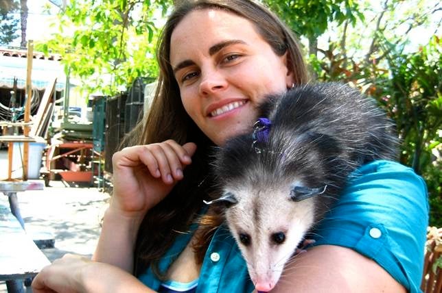 'Colonial Goose', los kiwis y el invierno austral