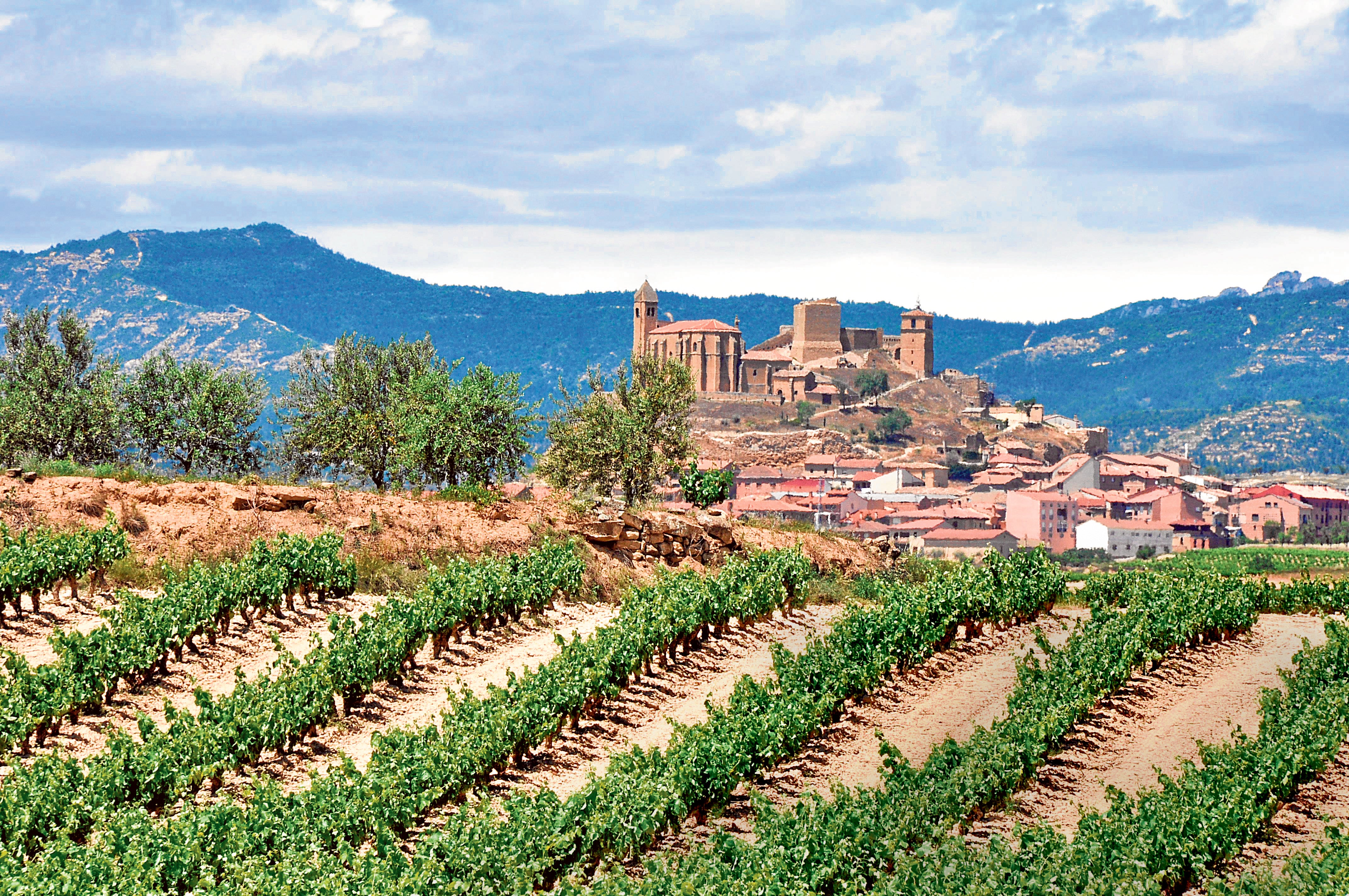 La Rioja enfoca el futuro con nitidez