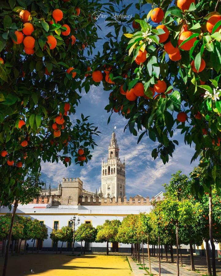 #RetoAbrilABC: selección de las mejores fotografías de la primavera en ...