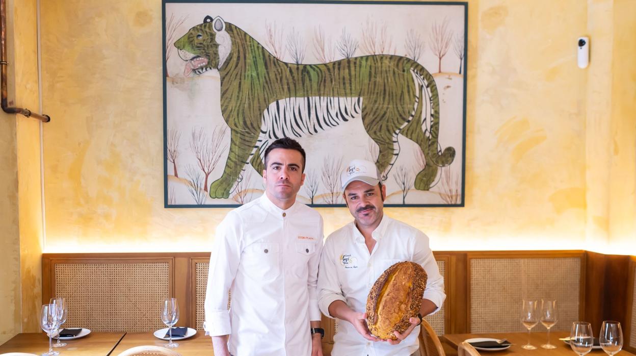 Lucho Plaza: «Yo le pido a Ángel Puchi que se adapte a la receta, es ...