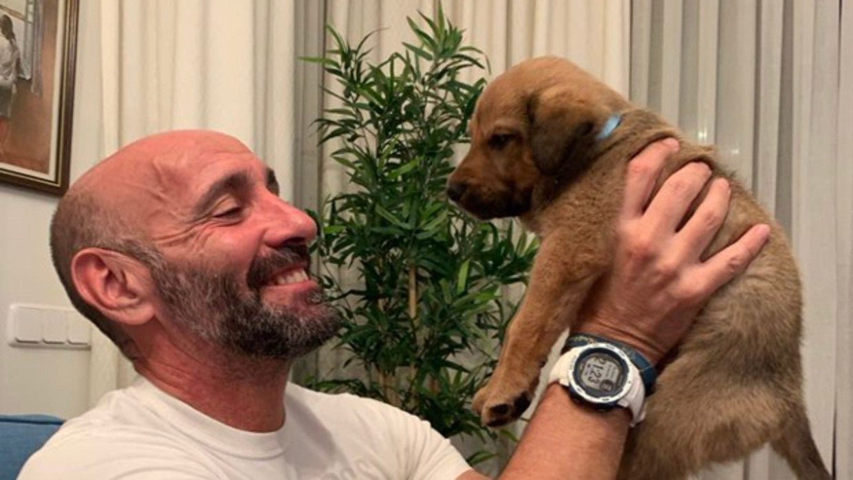 Monchi busca dueño para Grillo, el perro que tiene en acogida