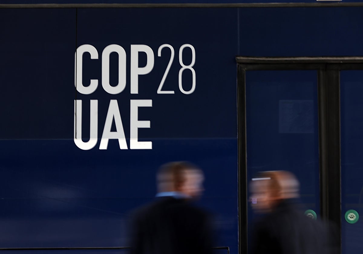 ¿Quiénes son los acreditados en la COP28?