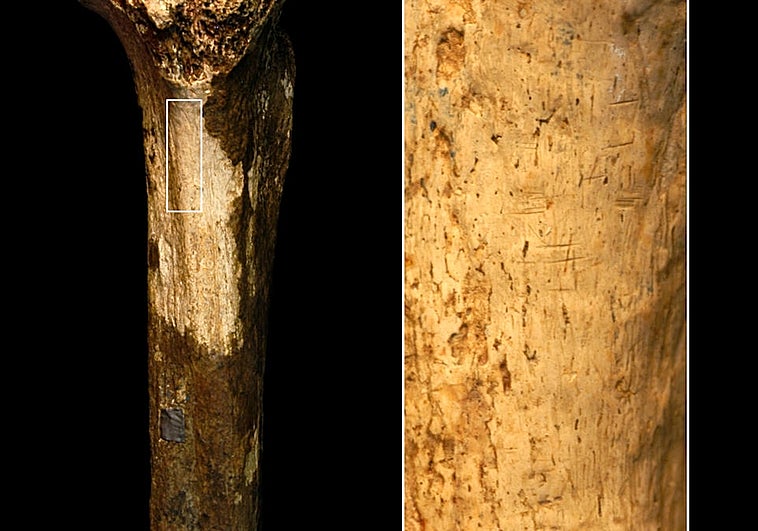 ANTROPOLOGIA, PREHISTORIA: Las raíces de la guerra: Hace 1,45 millones ...