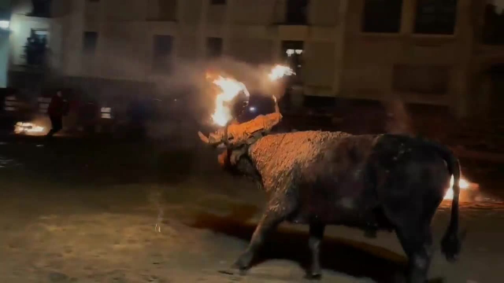 Se celebra el tradicional festejo del toro jubilo en Medinaceli