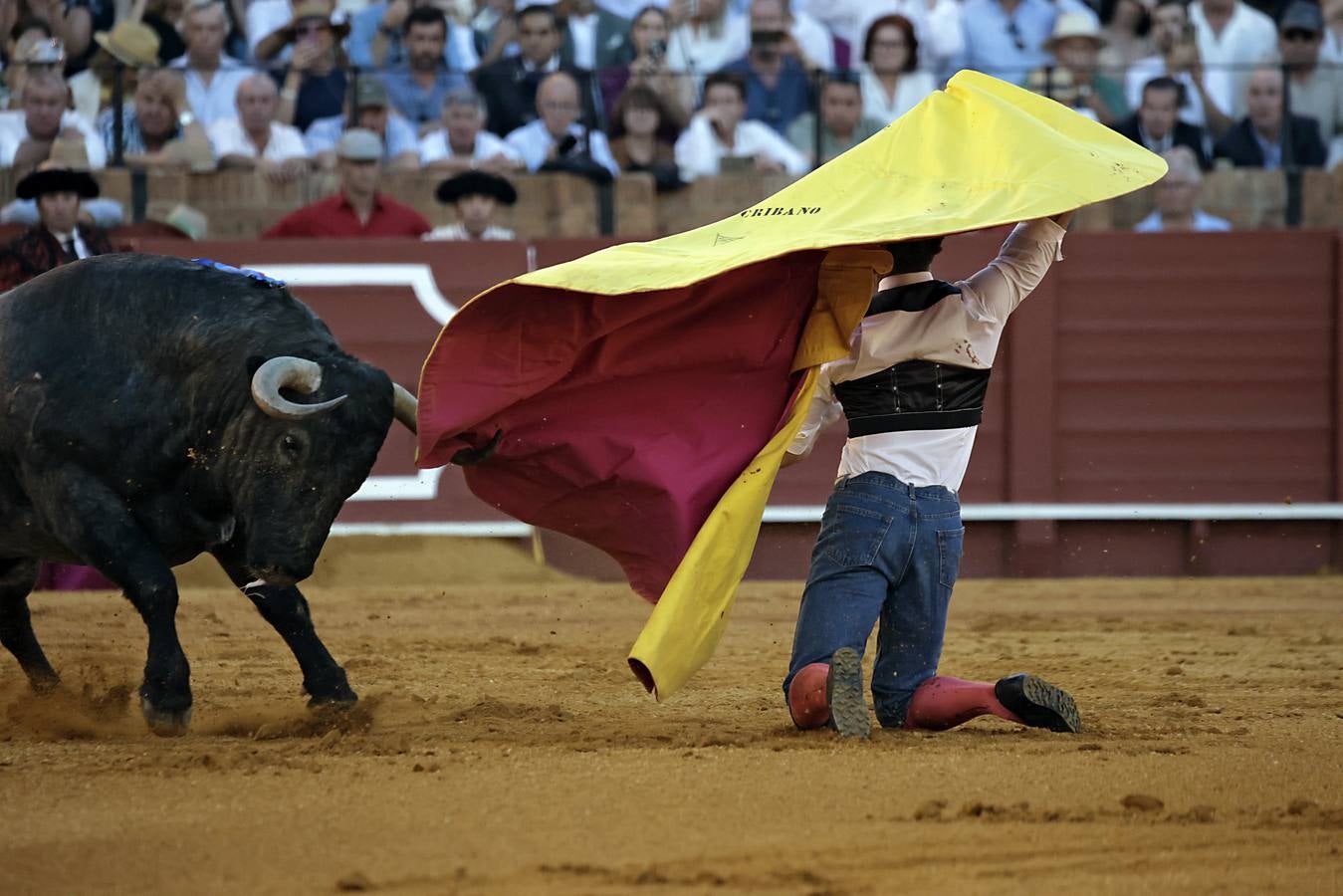 Las imágenes de la corrida de Escribano, Borja Jiménez y Roca Rey en ...