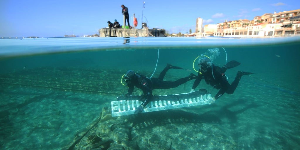 El salvamento del pecio fenicio Mazarrón 2 concluye con éxito y nuevos ...