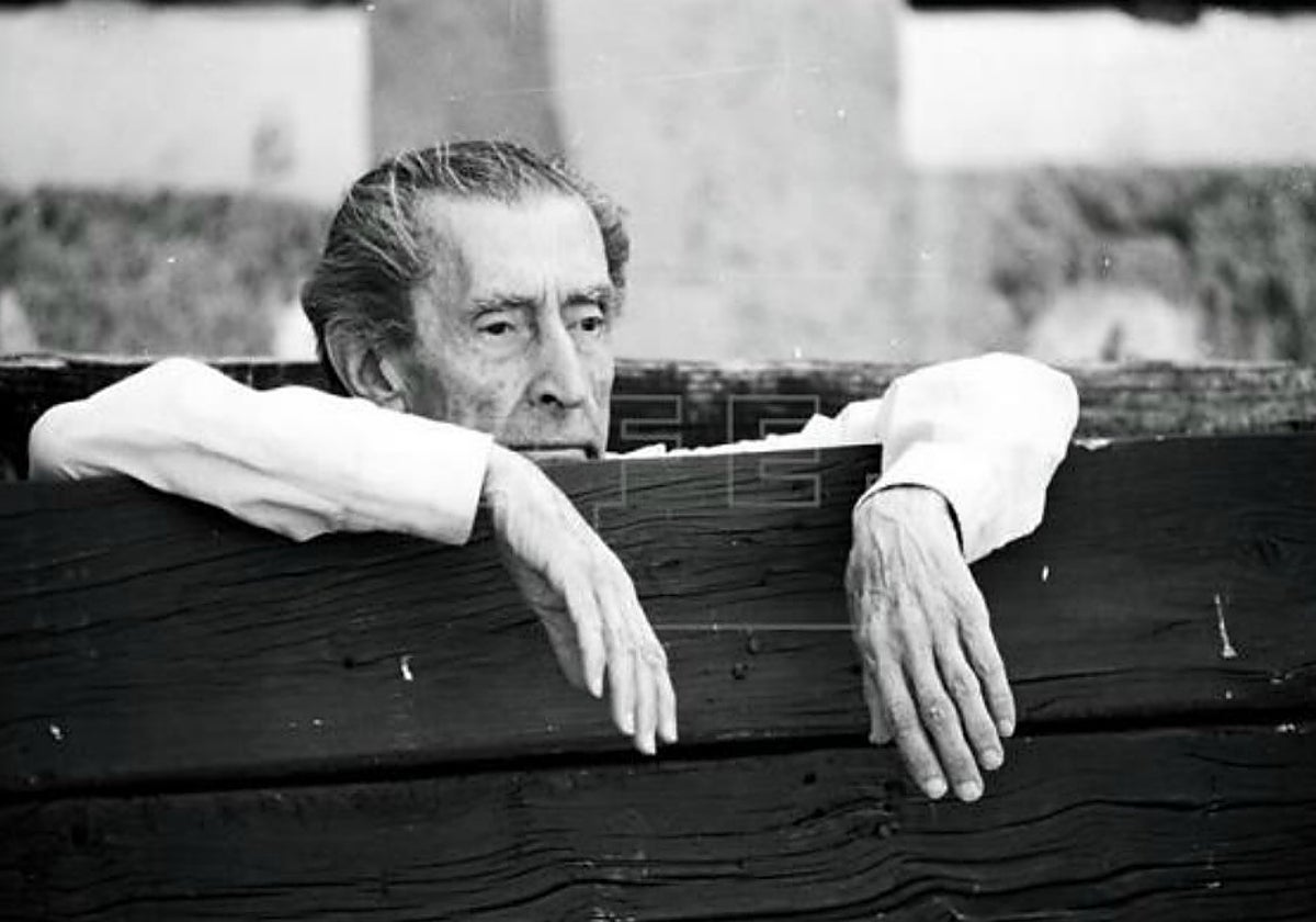 María José Solano: Bergamín, yo te celebro