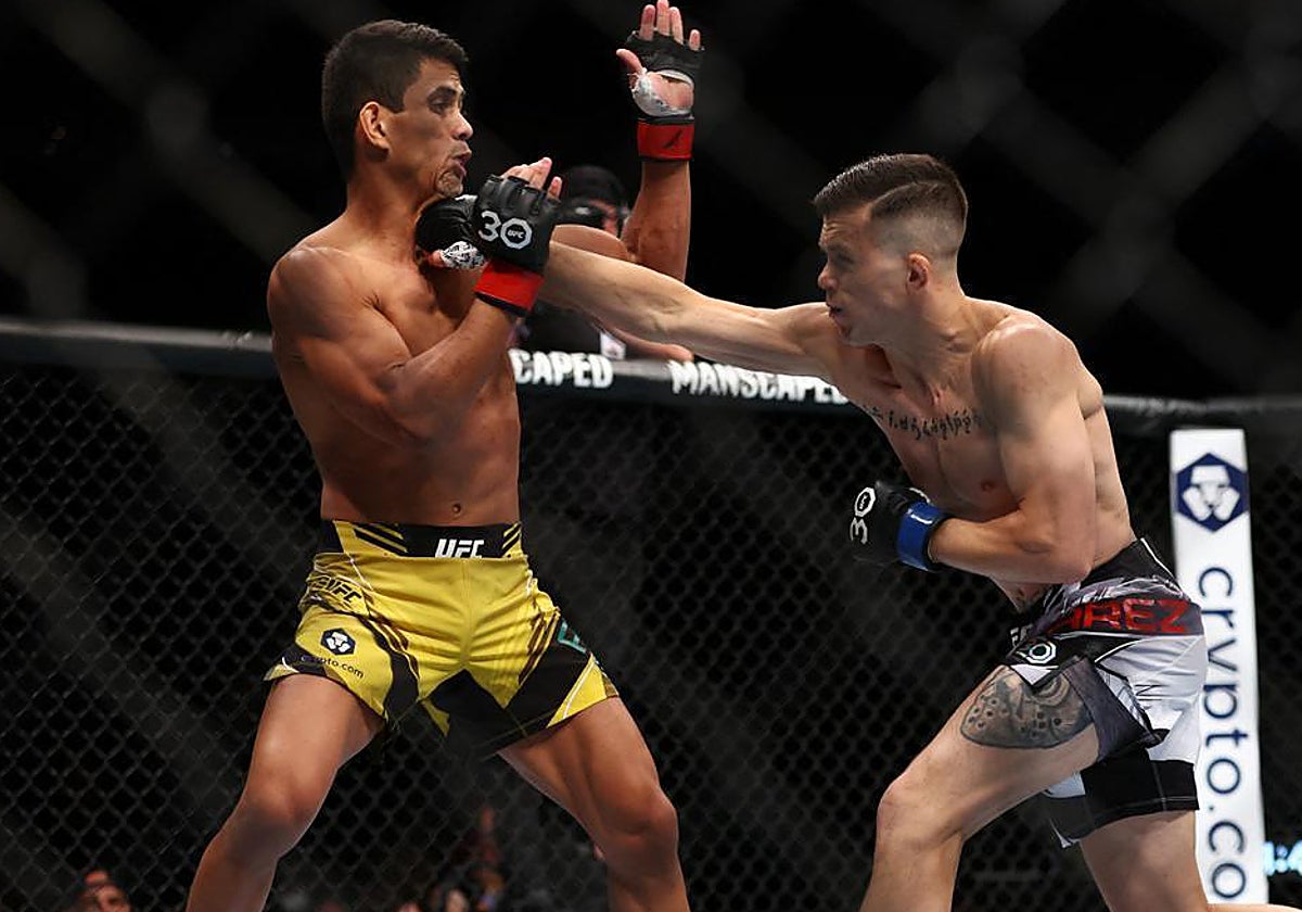 Quién es Dani Bárez, el luchador valenciano de la UFC que busca ...