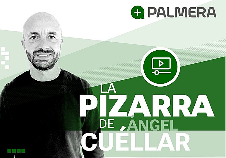El análisis de Ángel Cuéllar del Levante - Betis: «Errores que lastran ...