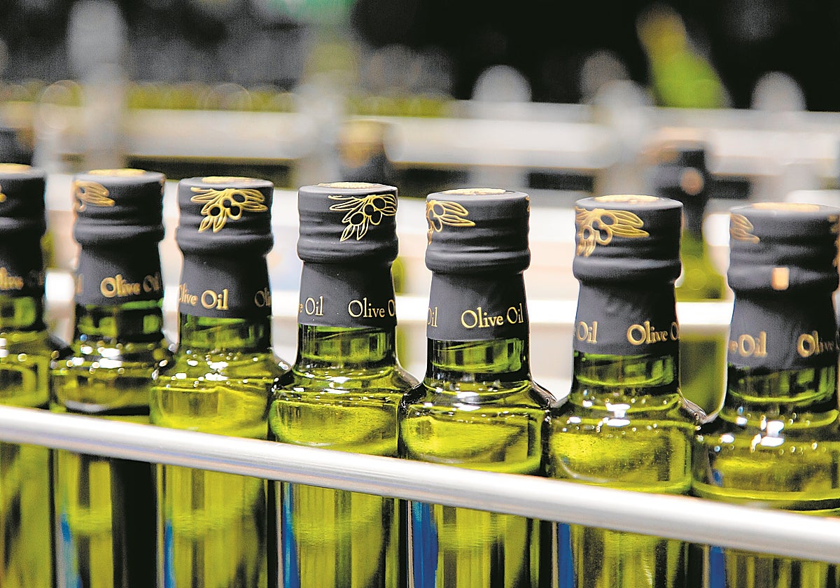 El compromiso con la excelencia del grupo agroalimentario MIGASA