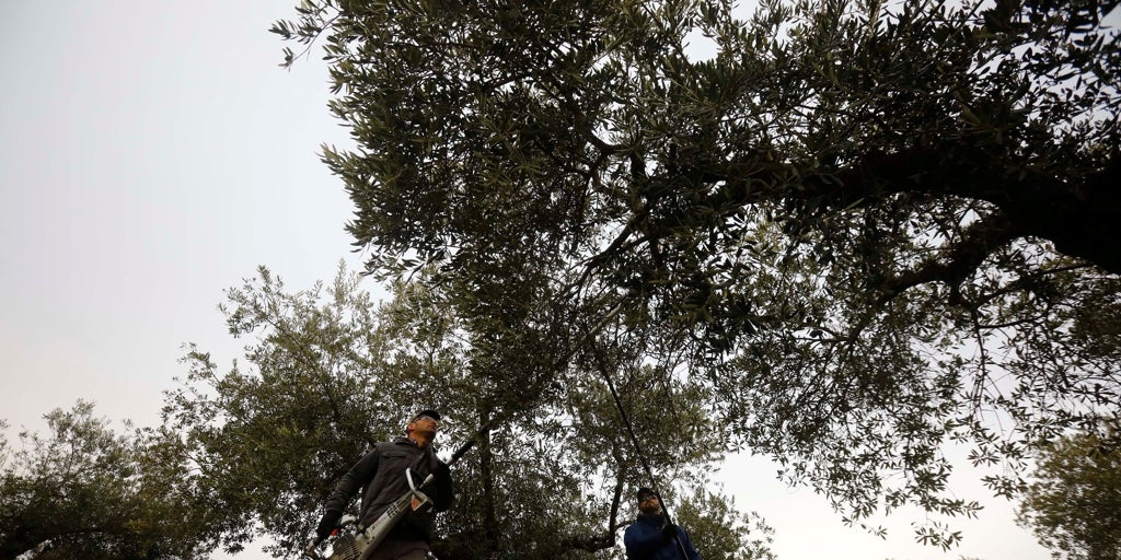 Sarah.slavo sextape lots of tattoos, so you best enjoy them.