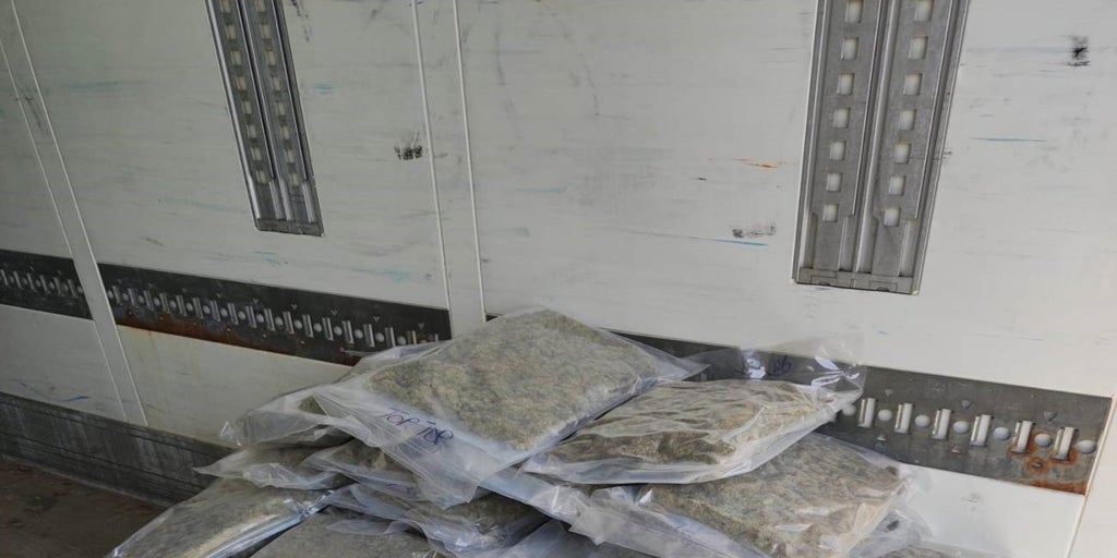 Varios robos en una tienda de jardinería llevan a la incautación de 233 kilos de marihuana