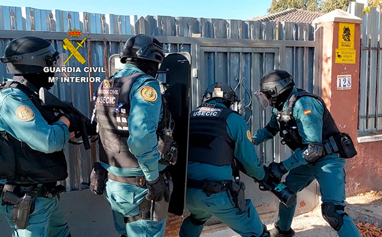 Una operación antidroga en Hormigos se salda con 19 detenidos y 10.000 plantas de marihuana ...