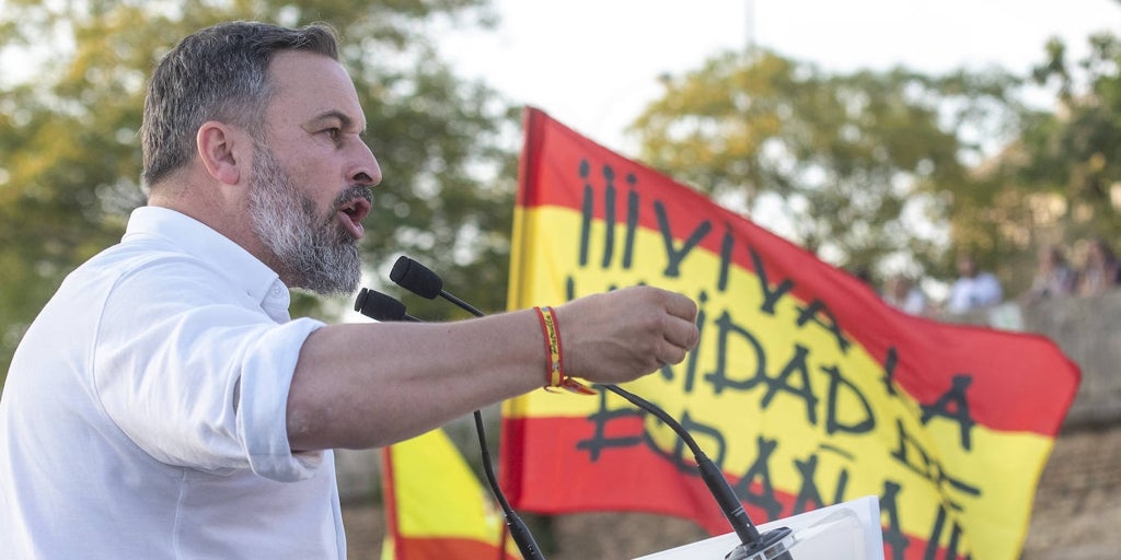 Abascal defiende un decálogo frente a la «violencia contra la mujer ...