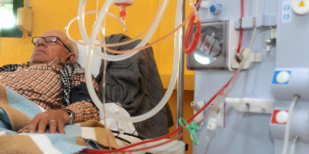 Día Mundial del riñón: Más de un millón de andaluces sufren enfermedad ...