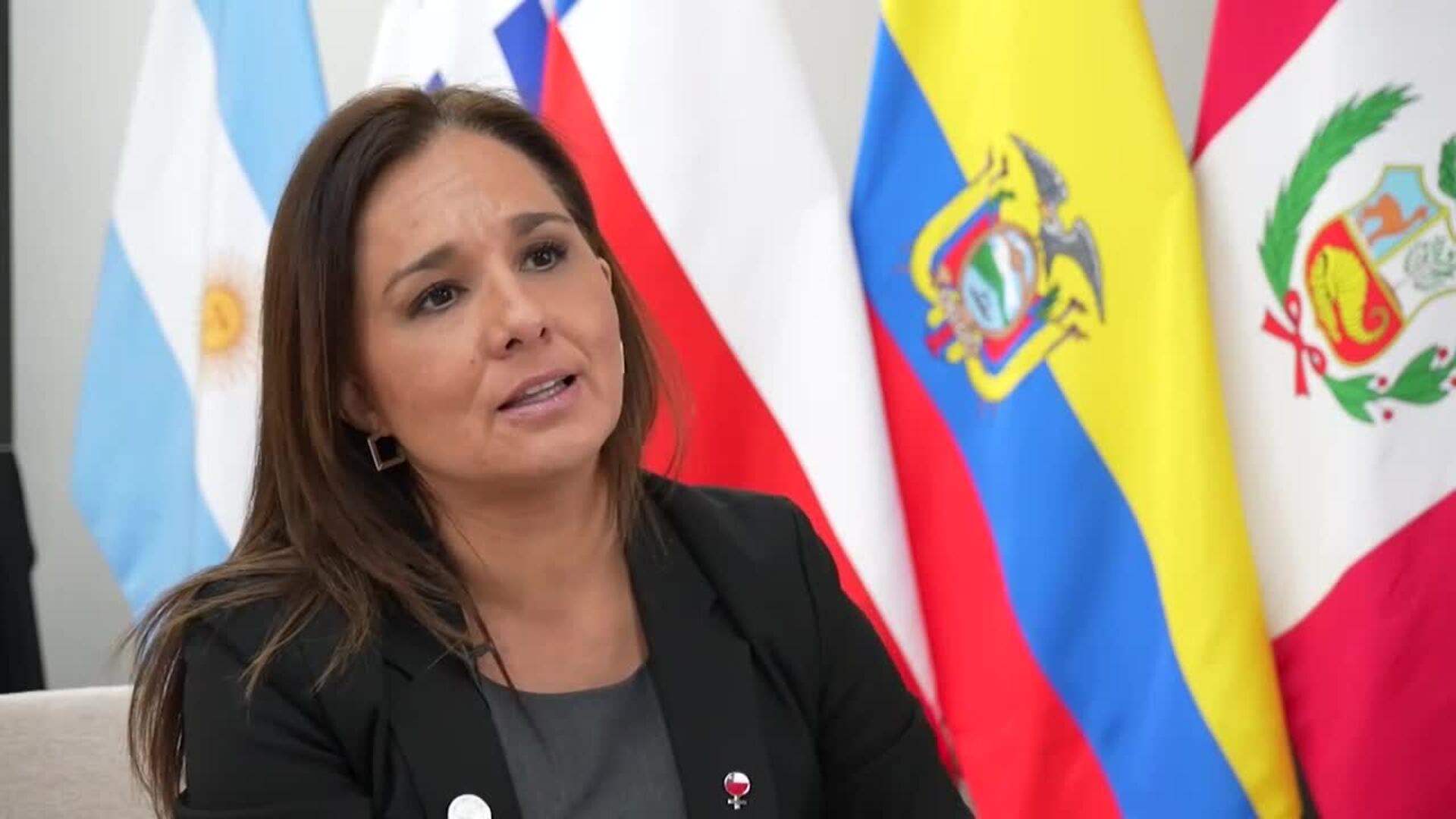 Chile insta a reforzar la cooperación en el Mercosur para enfrentar al ...