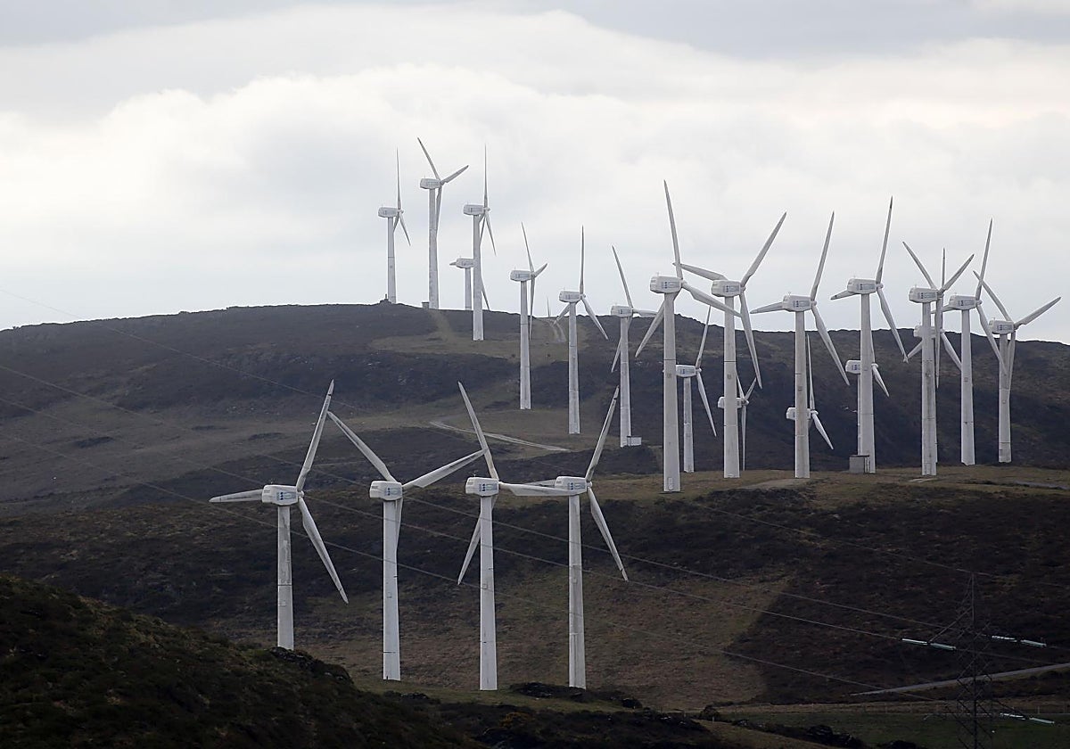 El Supremo rompe su racha de avales y niega su permiso al parque eólico ...