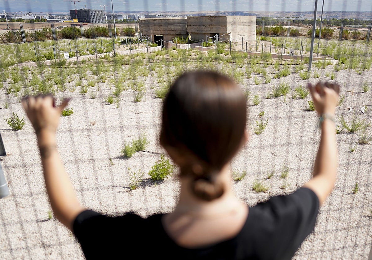 Los fortines que se izaron con grúa y ahora están junto al circuito de Fórmula 1