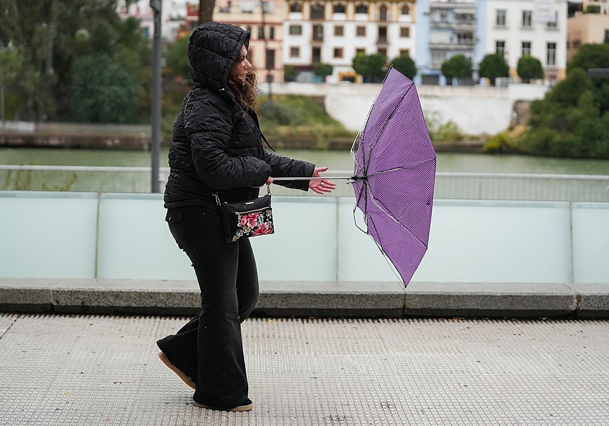 Aviso naranja por precipitaciones en Cádiz y Málaga y amarillo en Huelva