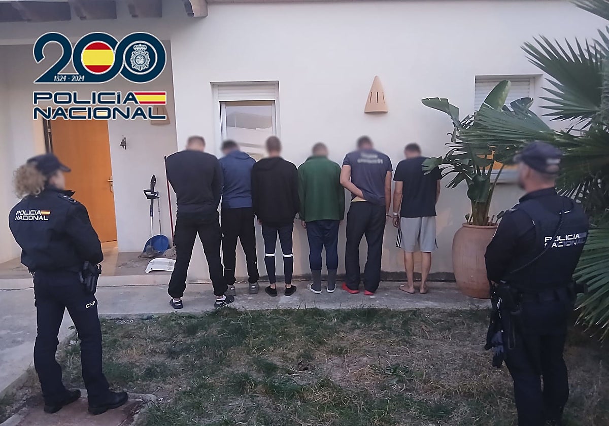 Desmantelan un cultivo con 860 plantas de marihuana en un chalet de ...