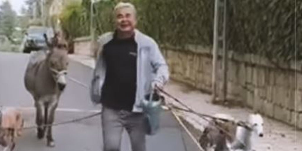 El hilarante vídeo de Jorge Javier Vázquez paseando a sus perros y su ...