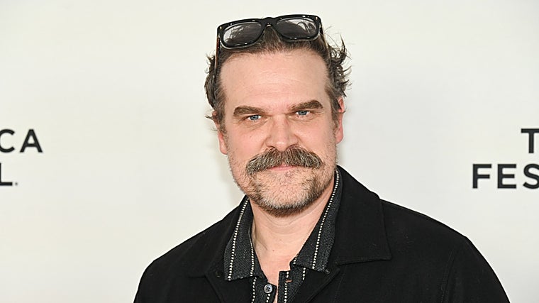 David Harbour y el incidente en un bar de California: «Tiene trastorno ...