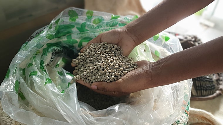 Black Jebena: el microtostadero que trae a Sevilla la tradición ...