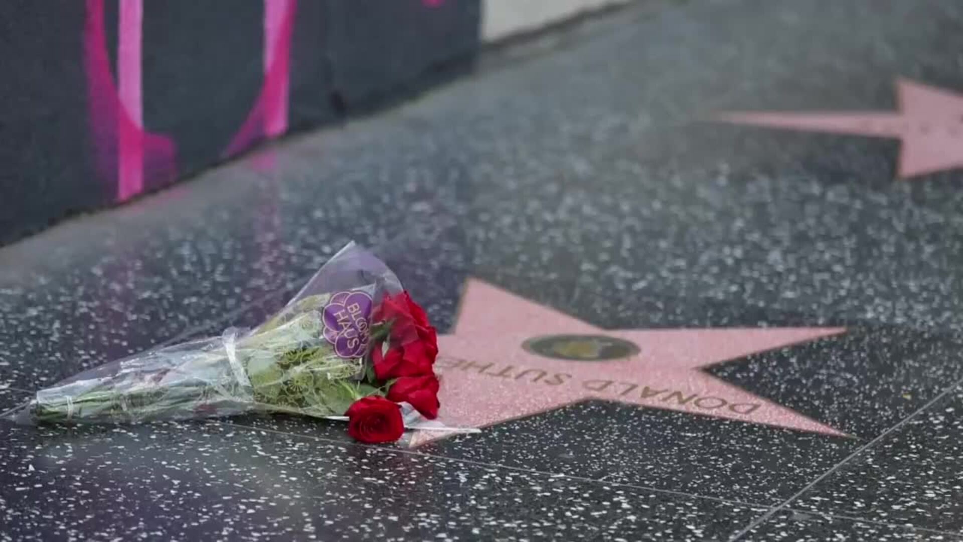 Flores sobre la estrella del actor fallecido Donald Sitherland