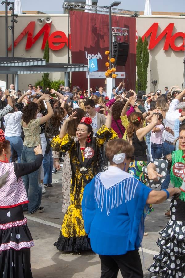 Las imágenes del intento de batir el récord Guinness de sevillanas en ...