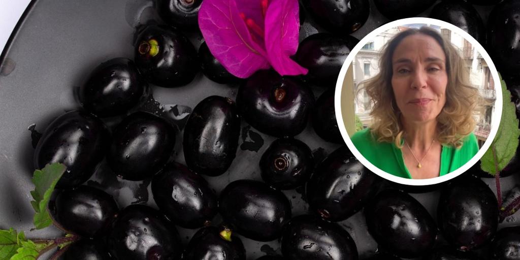 Una química revela lo que hay detrás color de las aceitunas negras: «No ...