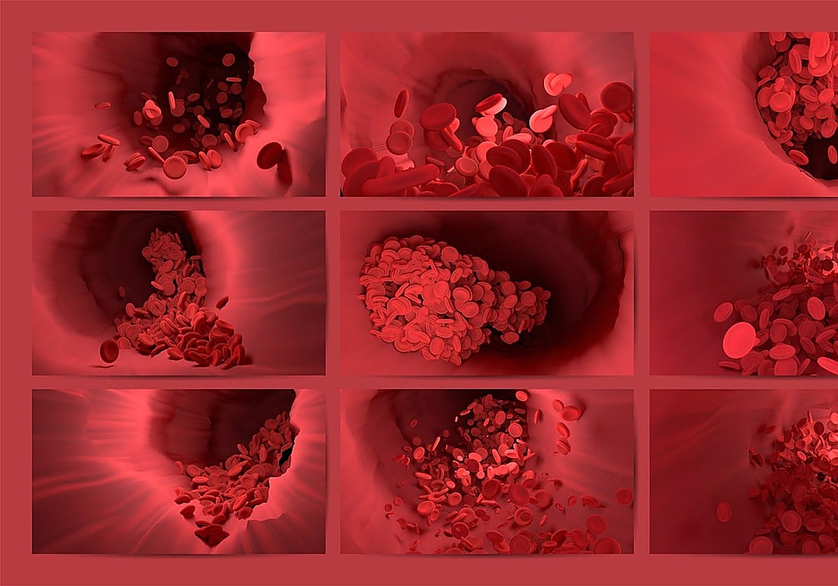 Esta proteína nos protege frente a los temibles trombos