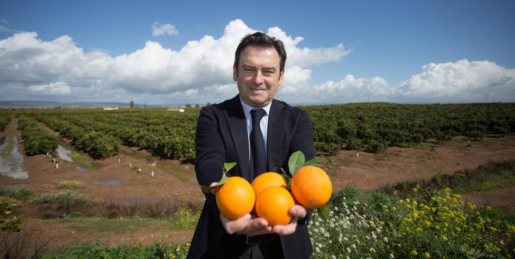 El fondo europeo Fremman Capital compra el 100% de la sevillana NaturGreen