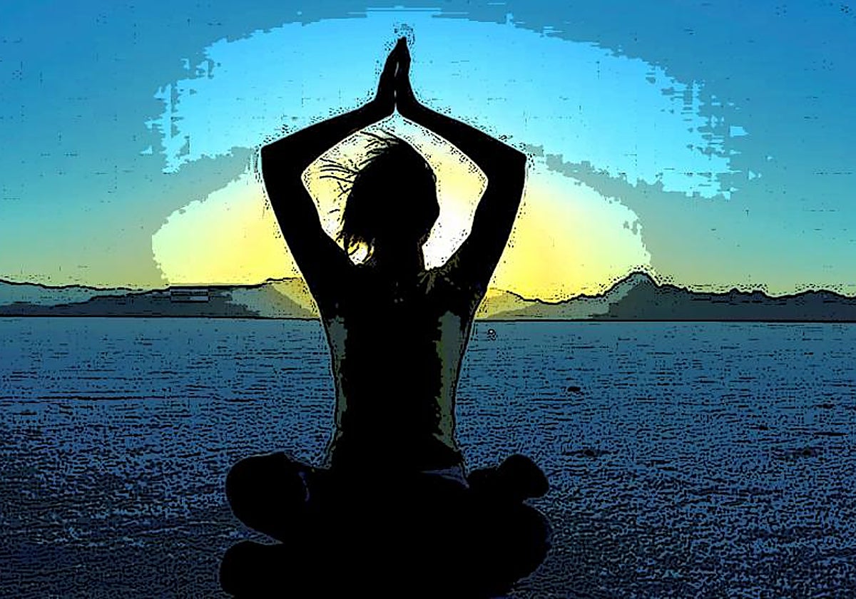 Grandes figuras del mindfulness y la ciencia se citan en un congreso en ...