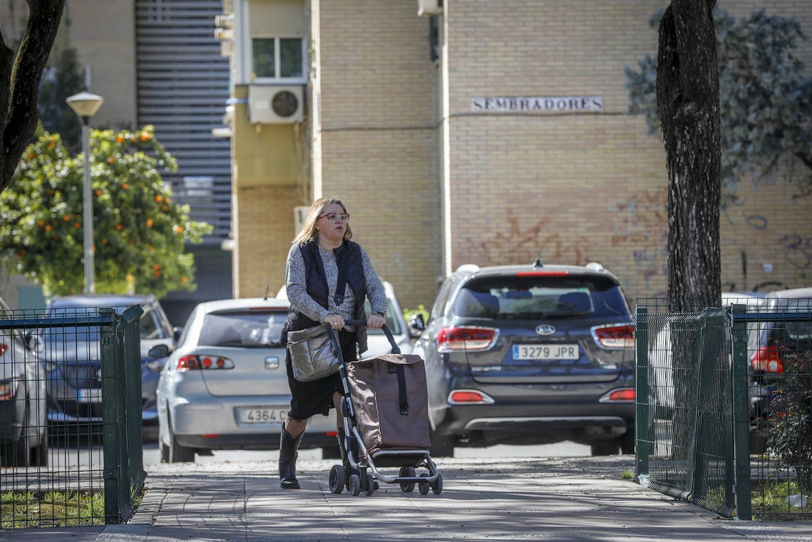 Pino Montano, un barrio sevillano con costumbres de antaño, en imágenes