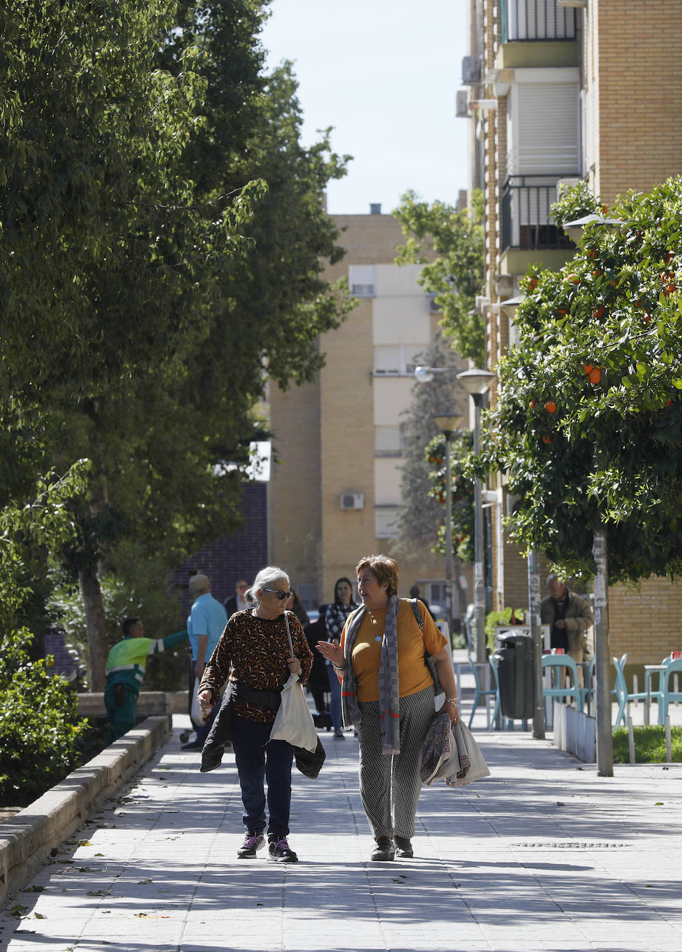 Pino Montano, un barrio sevillano con costumbres de antaño, en imágenes
