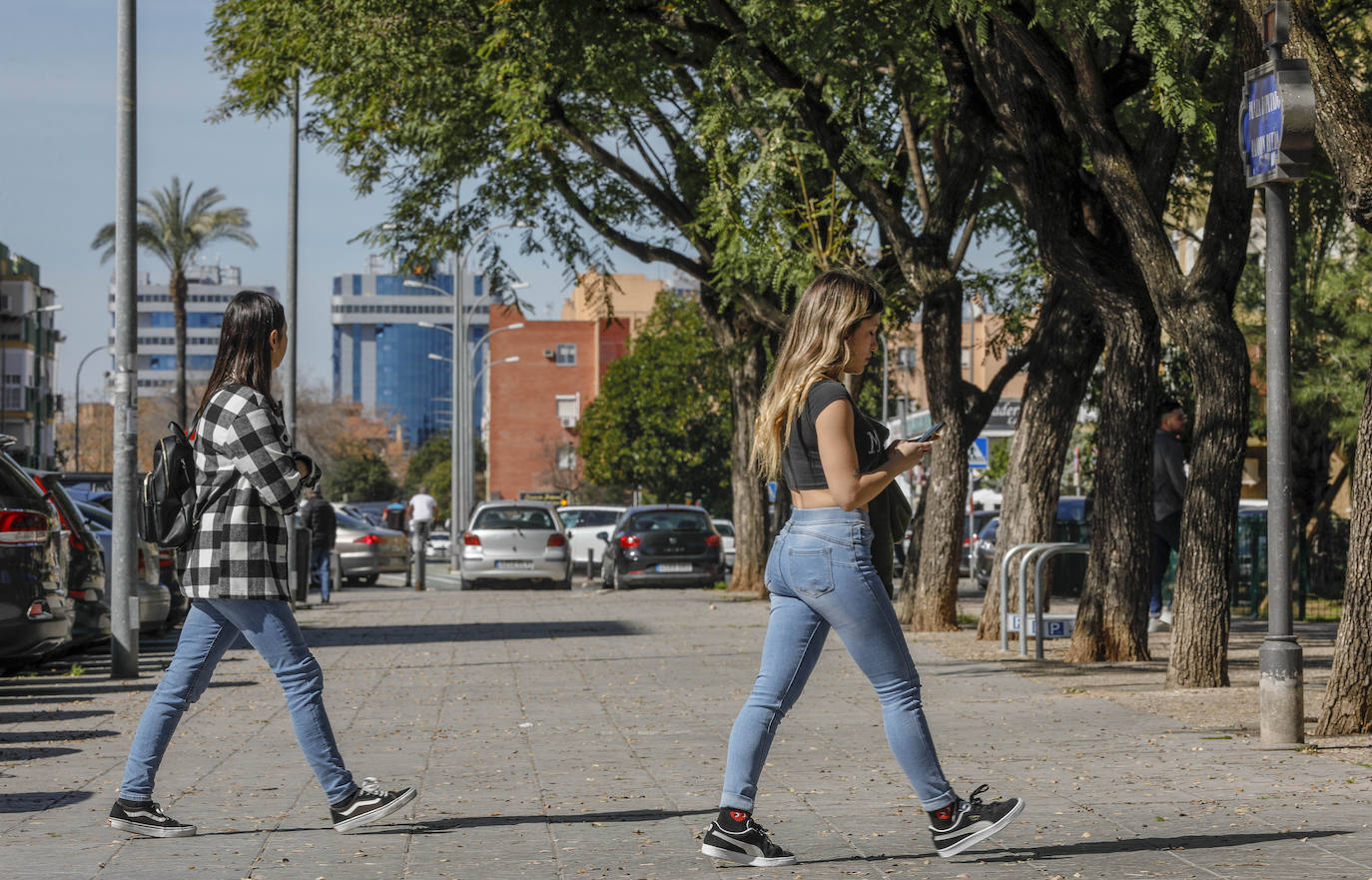 Pino Montano, un barrio sevillano con costumbres de antaño, en imágenes