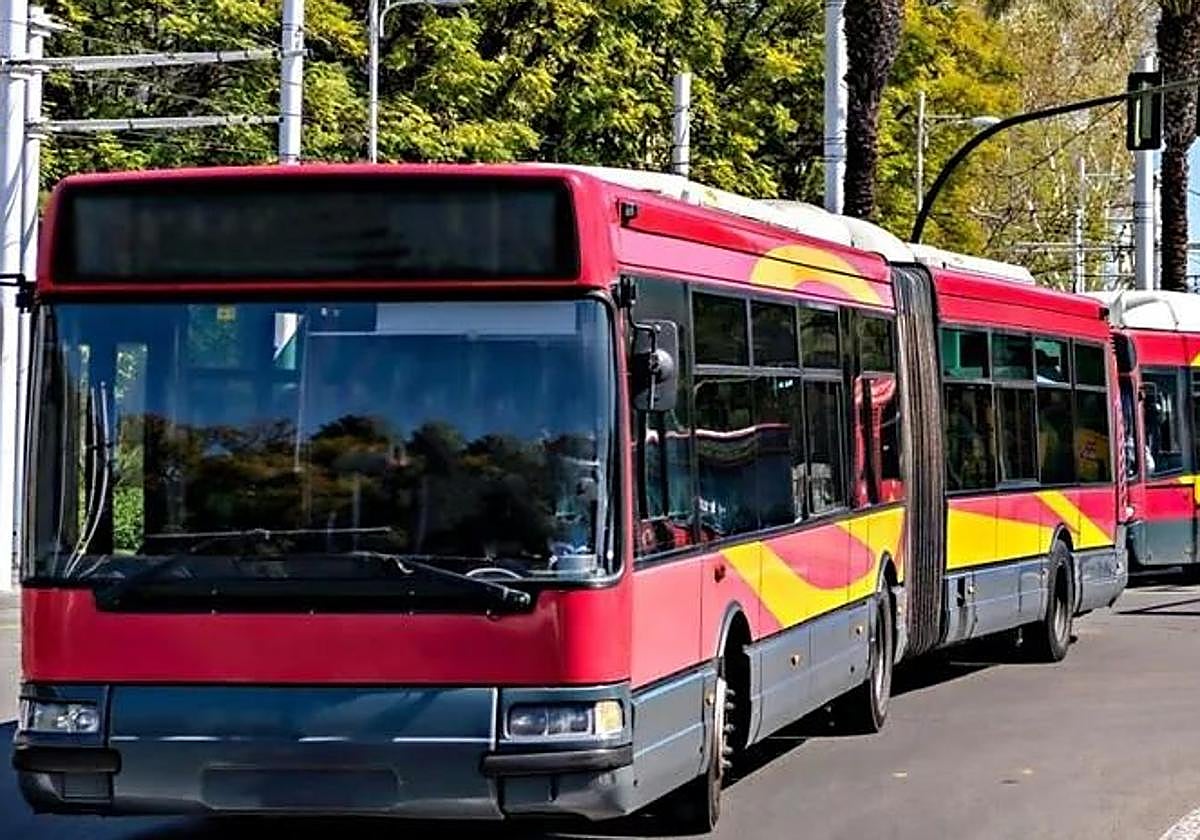 Así será el servicio de Tussam para la Magna de Sevilla: horarios ...