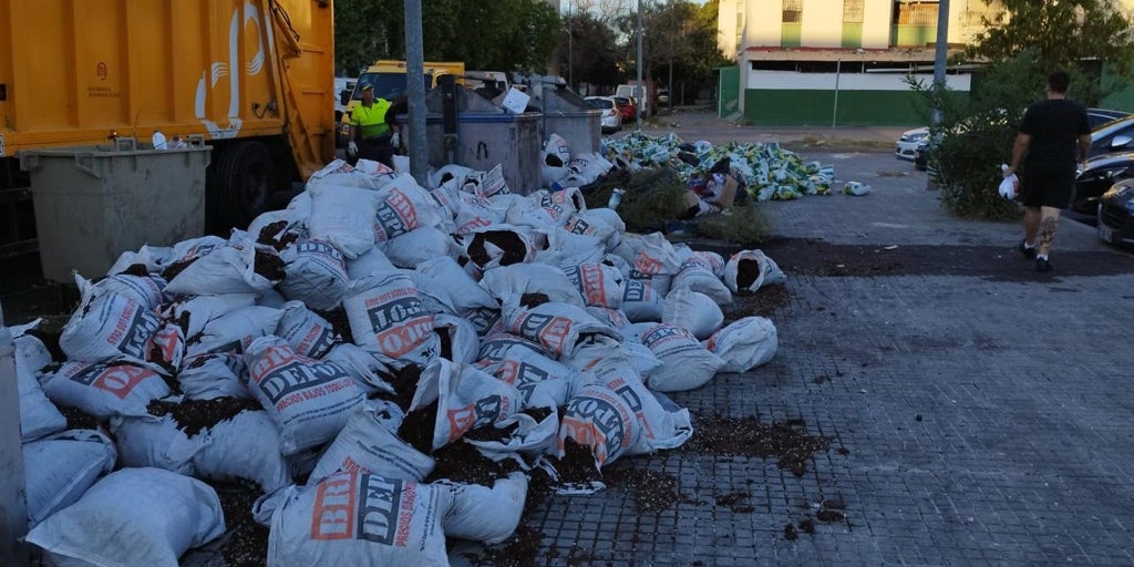 Lipasam retira decenas de sacos de mantillo de las Tres Mil Viviendas ...