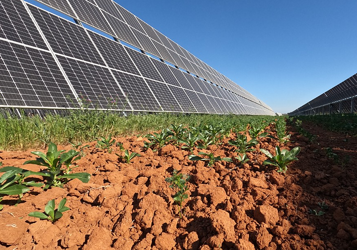 Endesa duplica la potencia instalada de renovables en Andalucía en ...