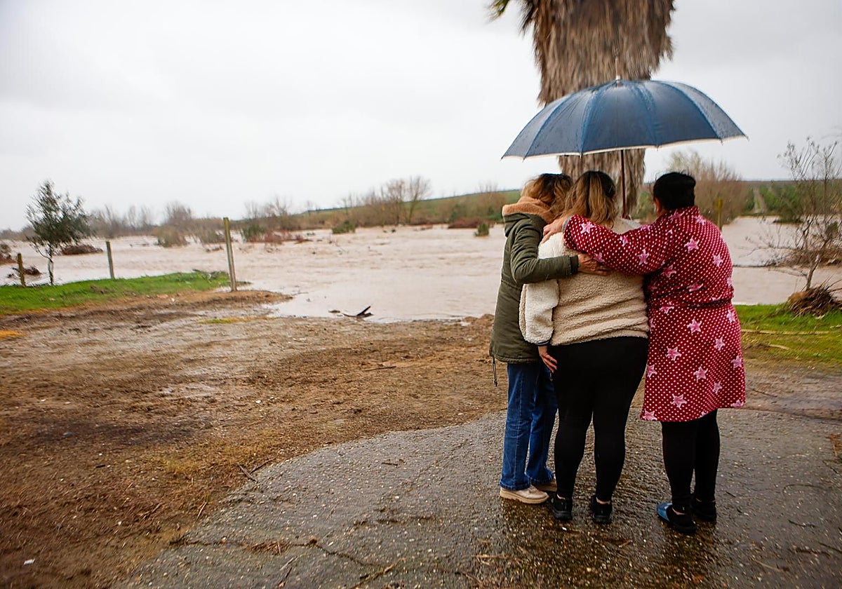El Guadalquivir sobrepasa el umbral de desbordamiento en Villaverde del Río