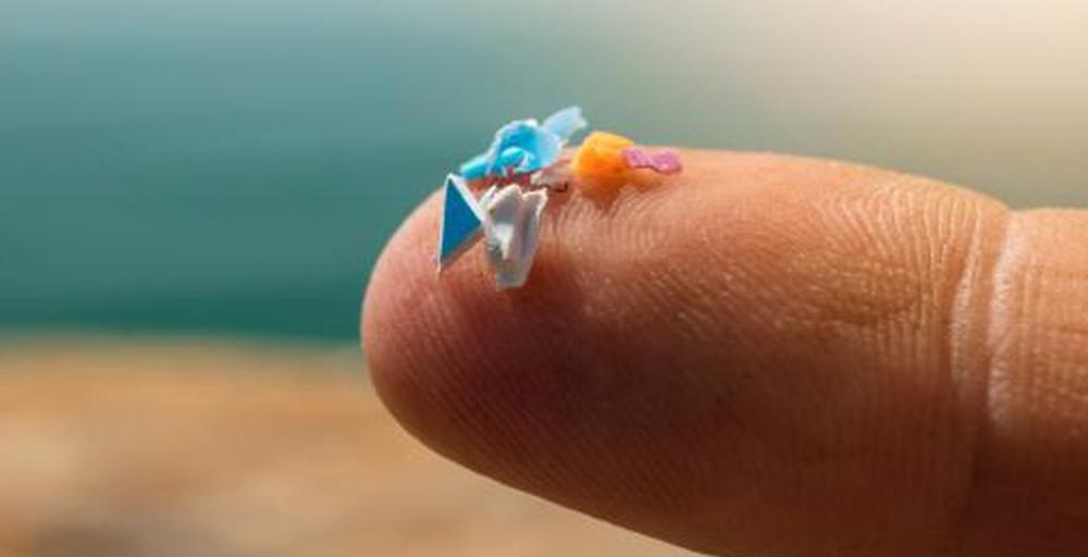 Un estudio muestra cómo los microplásticos se adhieren a las vías ...