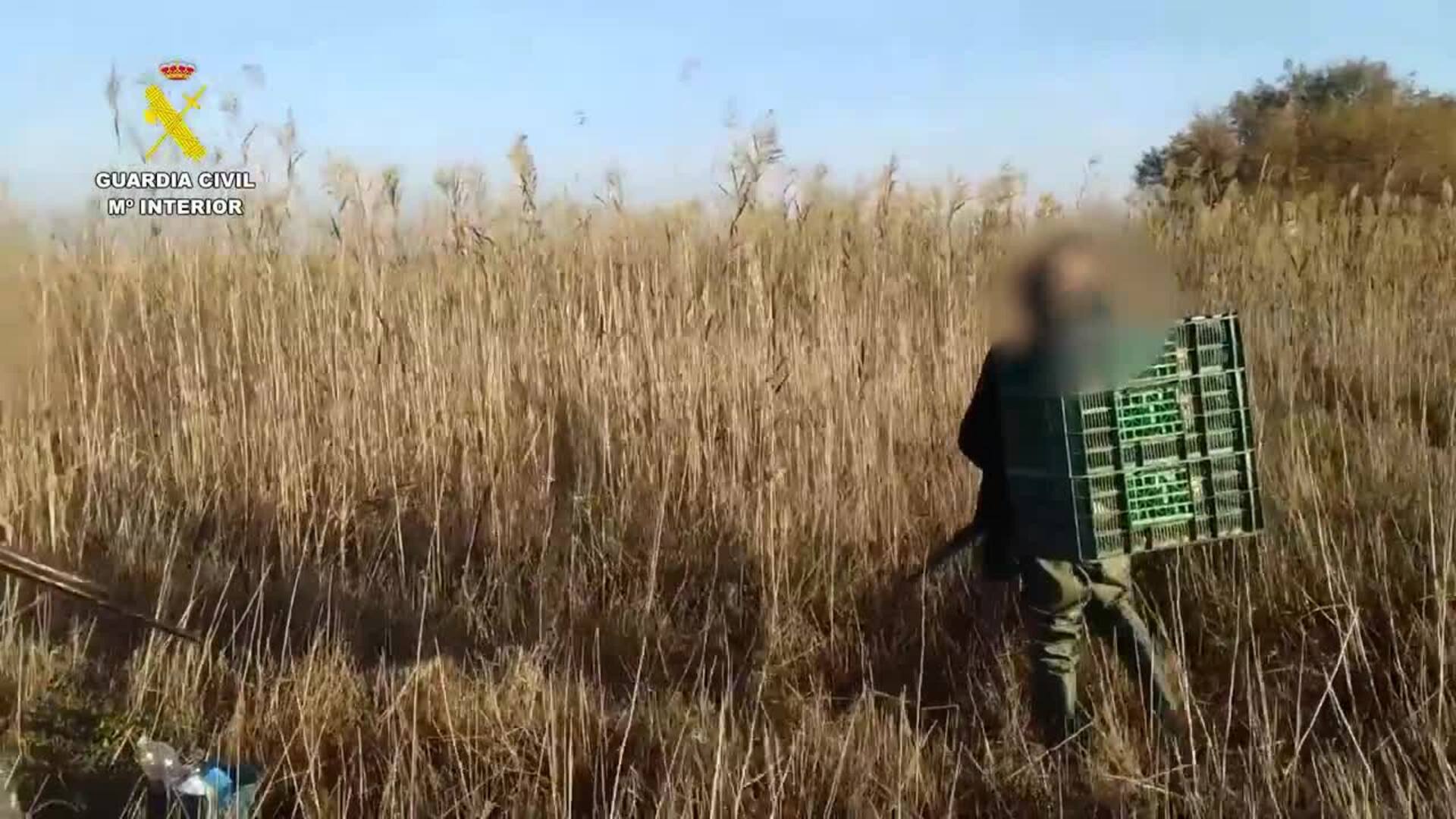 Sorprendidos cazando patos salvajes en terrenos de Doñana en el término ...