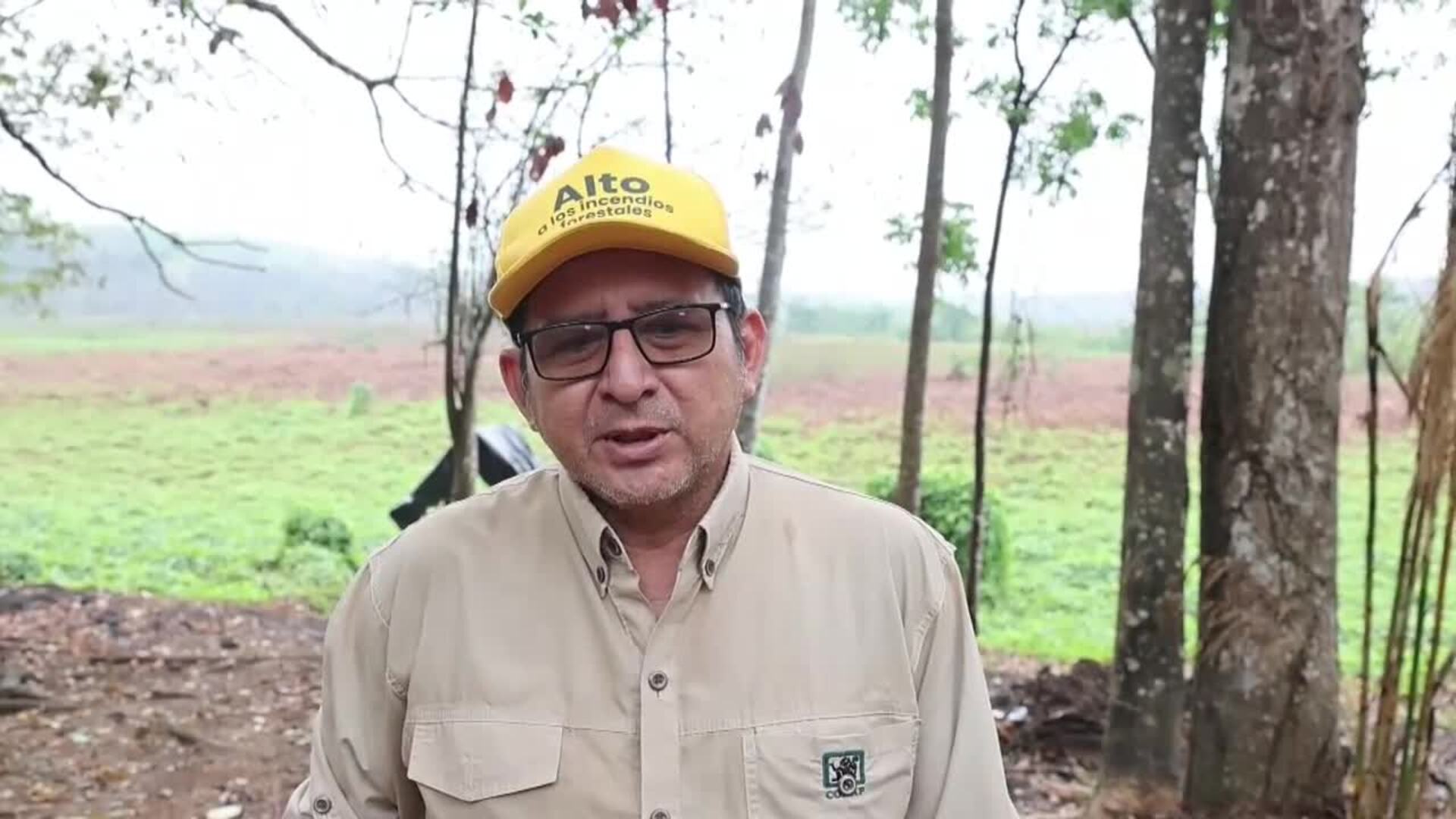 Asolada por incendios, "la cicatriz del fuego es enorme" en la selva ...