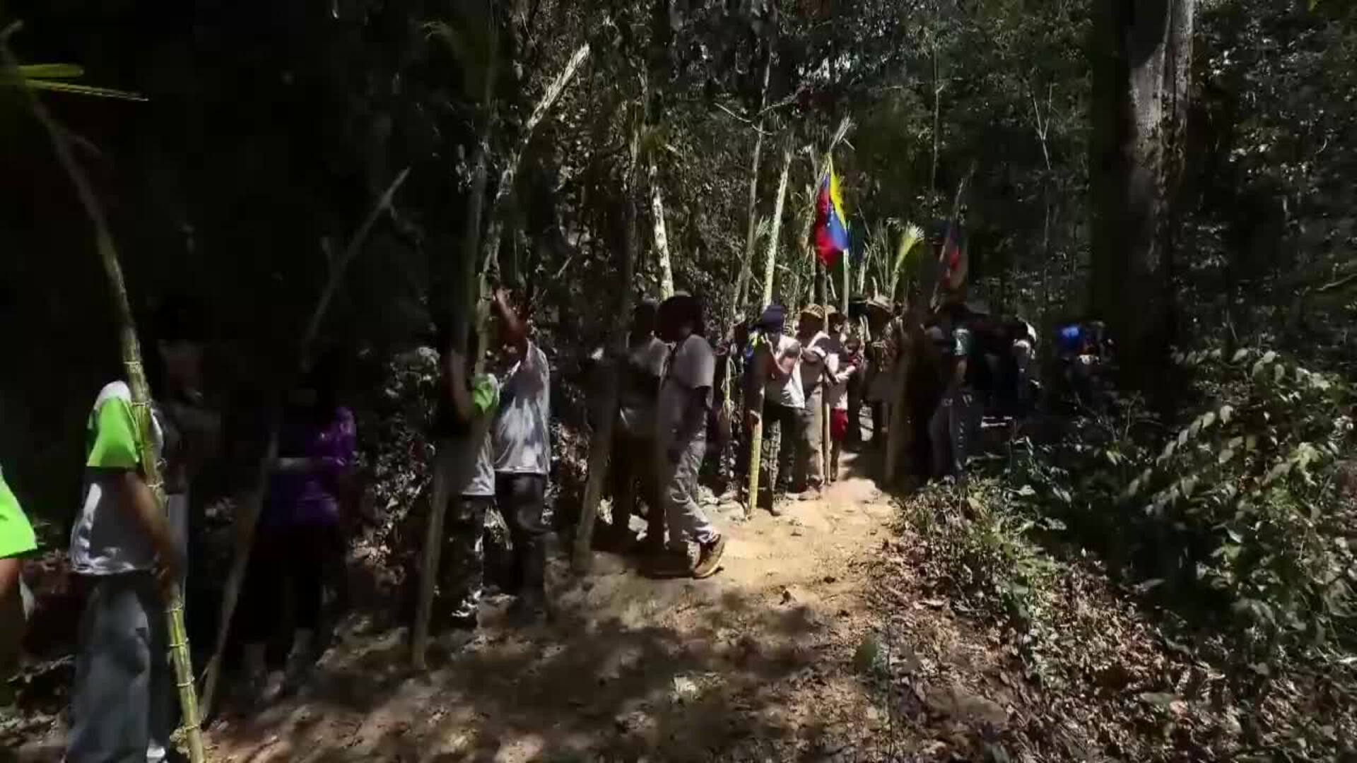 Palmeros de Chacao descienden el Ávila con la palma para celebrar ...