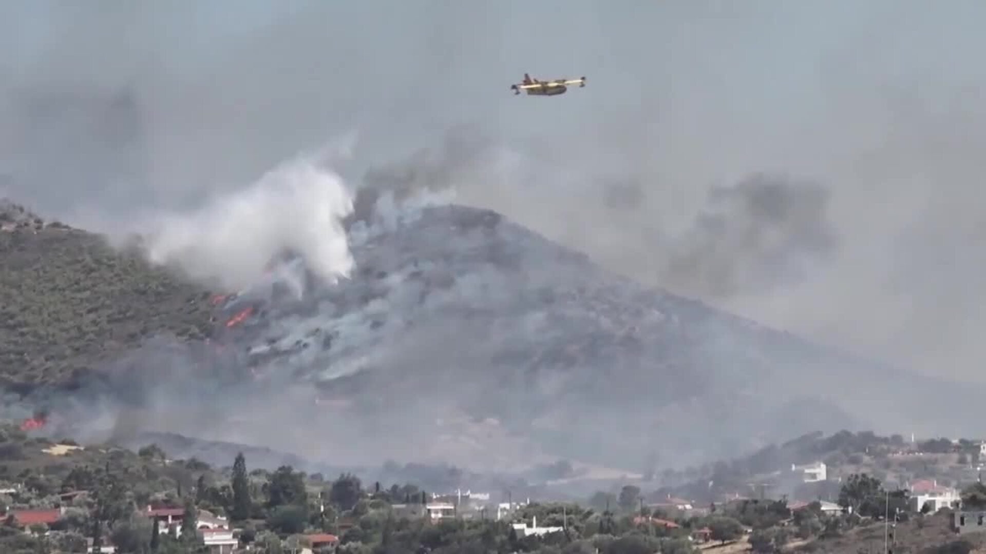 Incendio forestal en Grecia: más de 1000 evacuados y casas destruidas