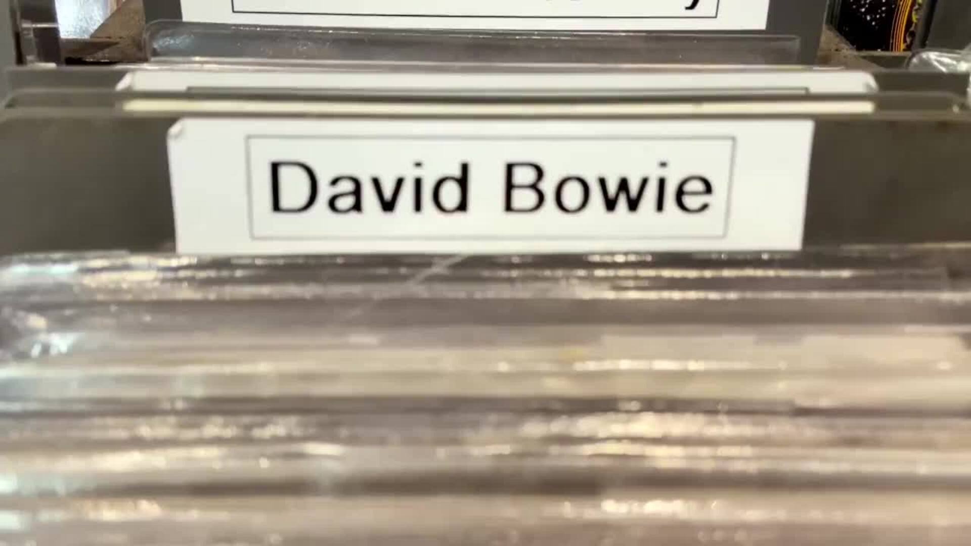 Diez años de la muerte de David Bowie, "El camaleón"