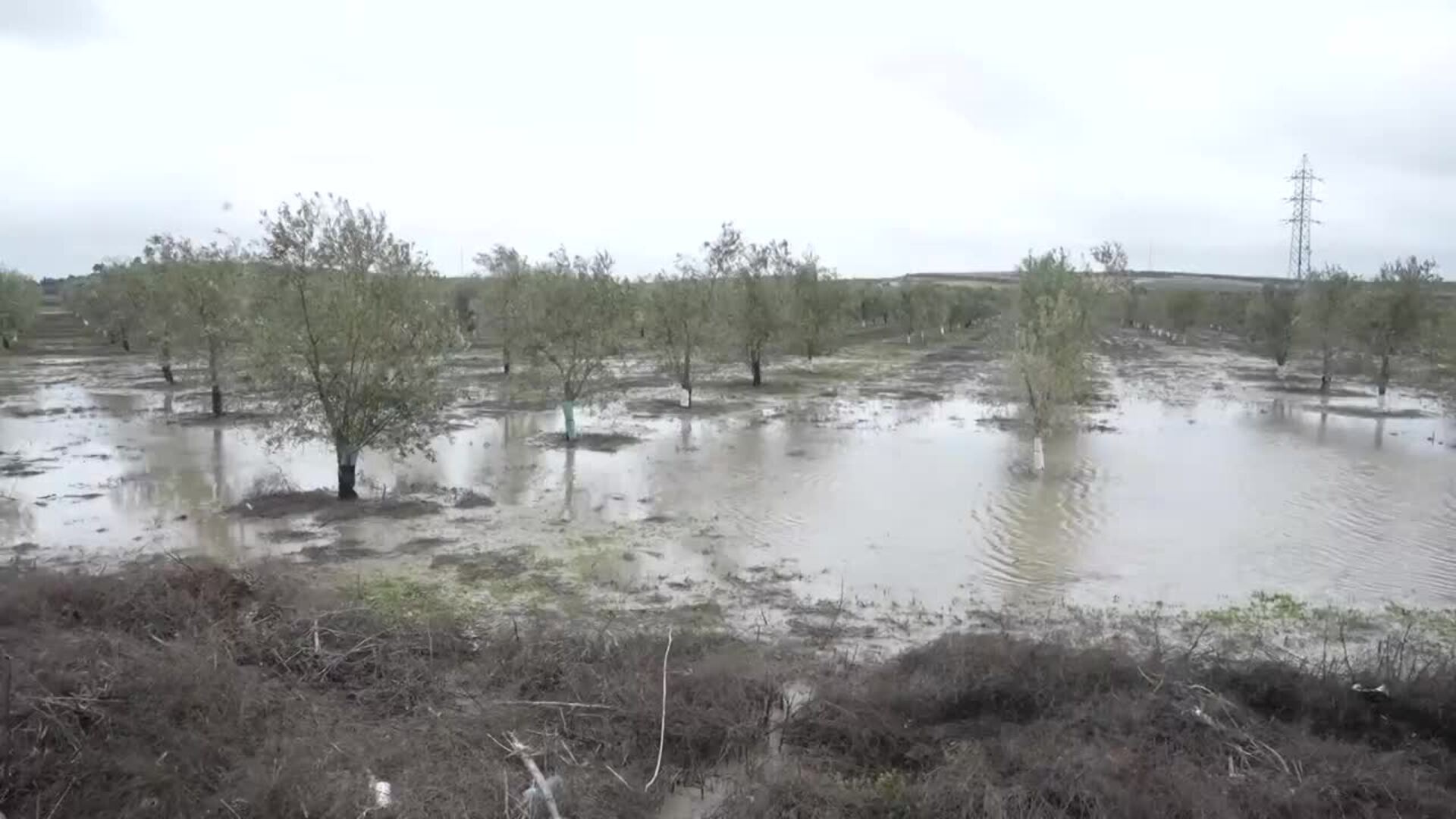 Campos anegados tras el desbordamiento del río Guadaíra por Arahal ...