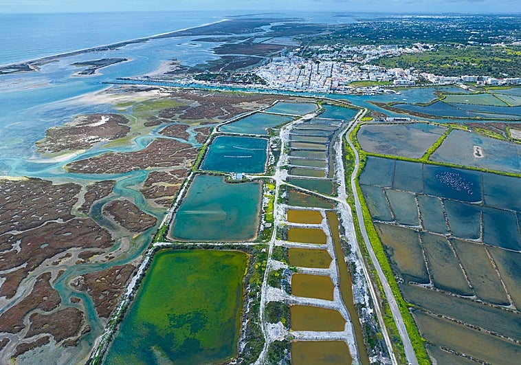 Una ría y una barrera de islas componen el paisaje menos conocido y más ...