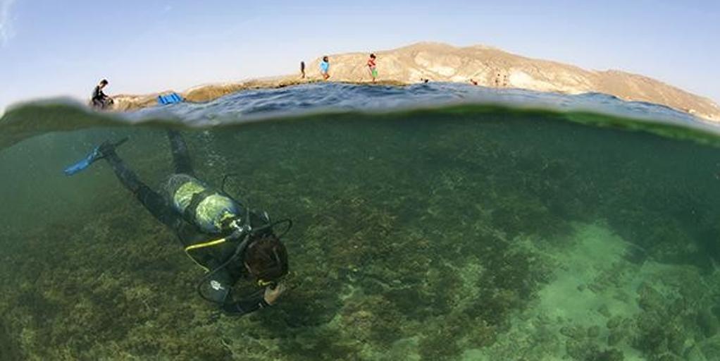 Bucea en Andalucía y descubre los fondos marinos más espectaculares del ...