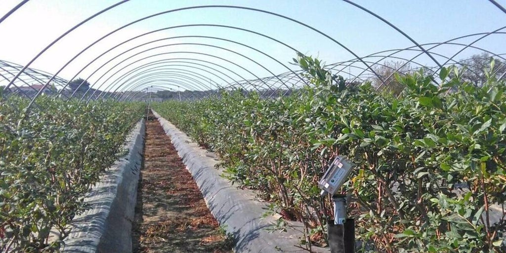 Organizaciones agrarias instan al Gobierno a dotar a Huelva de ...